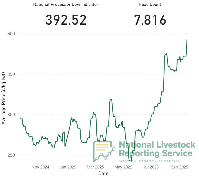 Resurgent cow prices suggest simple ‘meat in a box’ beats quality ...