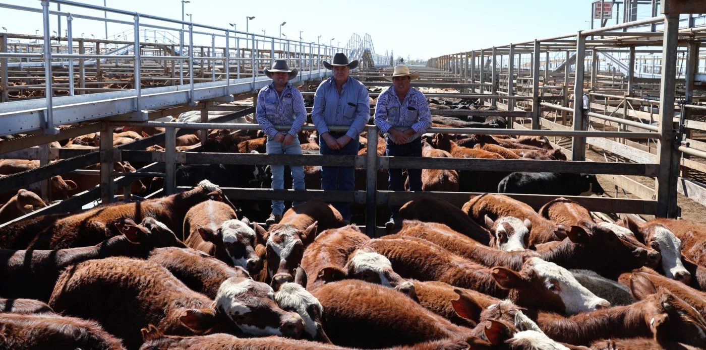 Roma store sale 23 September 2025: Big numbers continue to come forward ...