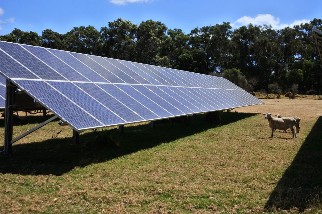 From Paddock to Power: Big leap in low-emissions ag - Beef Central