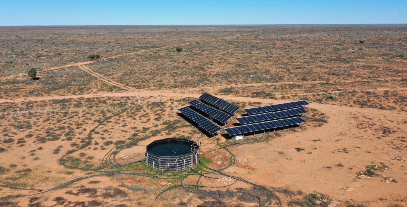 Giant Western Australian sheep station Madura Plains for sale - Sheep Central