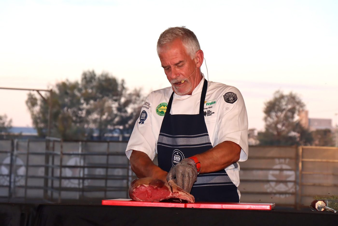Cattle Connect hits stride as national beef industry forum + PICS ...