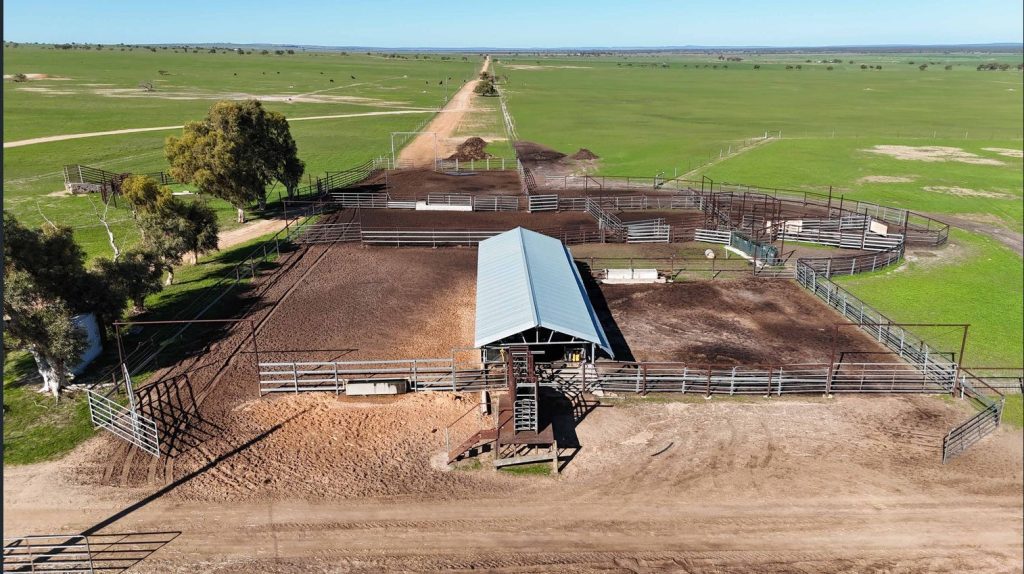 Movement at the Station: Properties for sale NT, WA and QLD - Beef Central