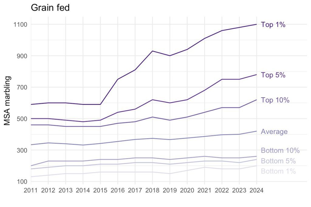 MSA: Powering consistency, value, and innovation for Australia’s beef ...