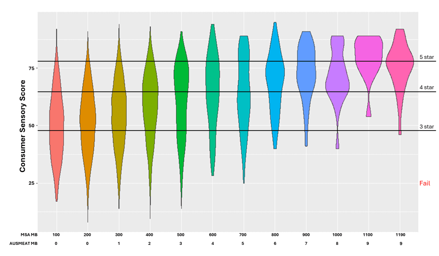 MSA: Powering consistency, value, and innovation for Australia’s beef ...