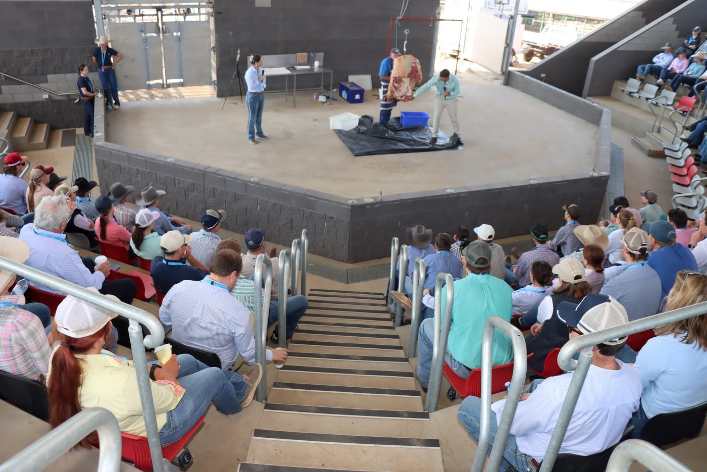 Young beef producers hit Roma + PICS - Beef Central