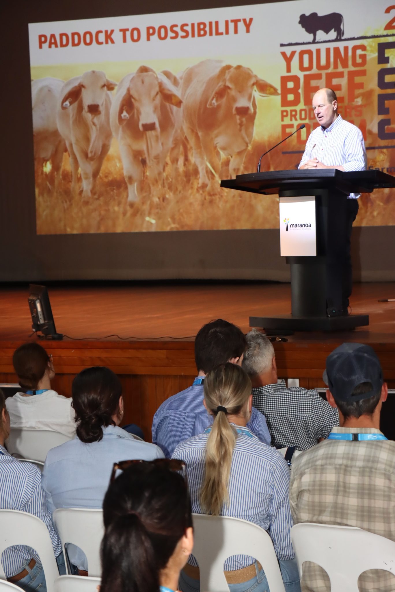 How a boy from a Qld cattle property built a billion-dollar olive oil ...