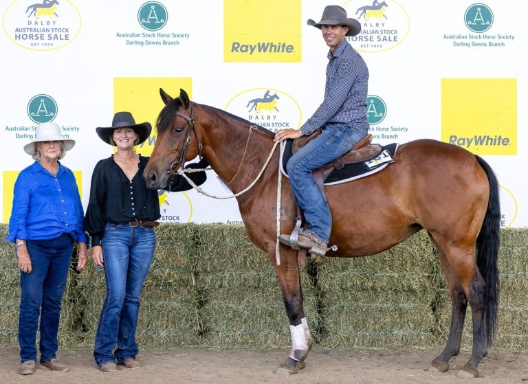 Mares top $170,000, geldings $110,000 at record-setting Dalby Stock ...