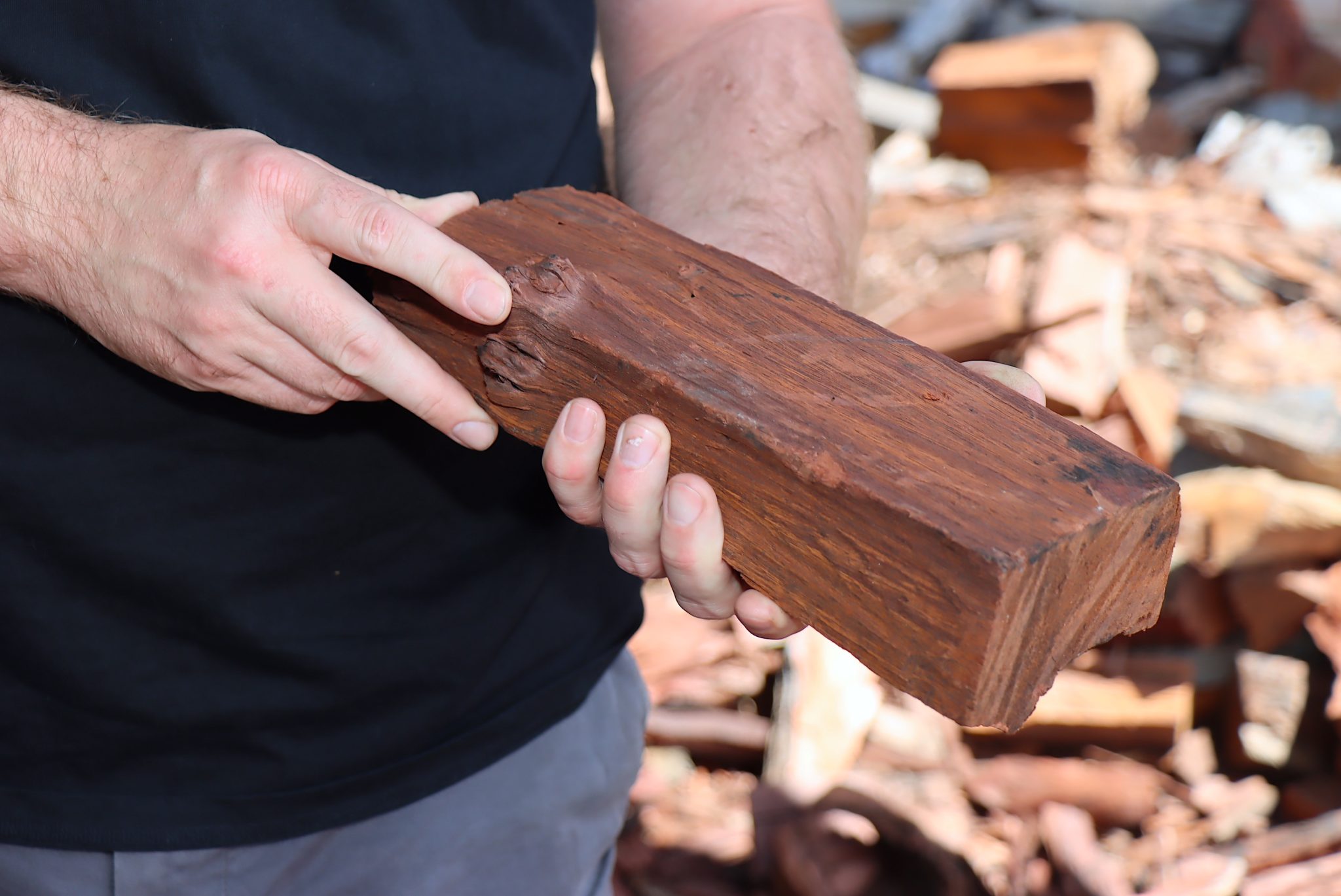 Champions of Beef: How Big Don’s became an Australian barbecue phenomenon - Beef Central