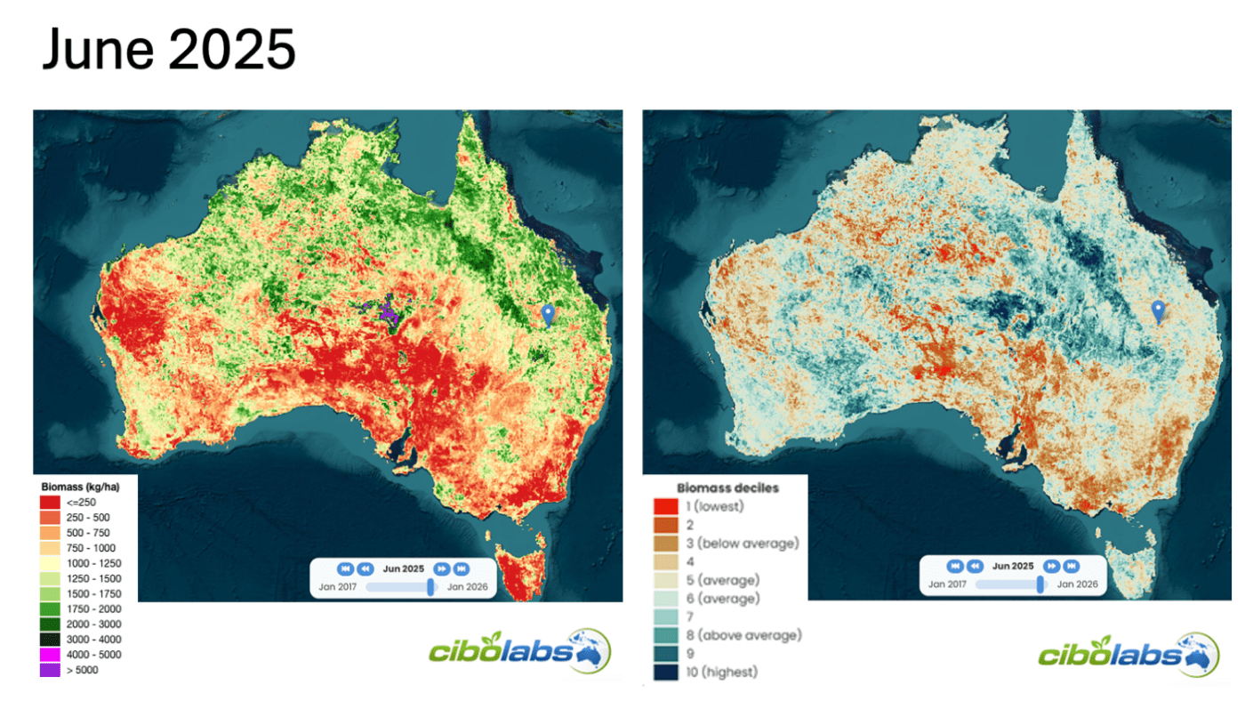 Pasture biomass maps show major seasonal swing - Sheep Central