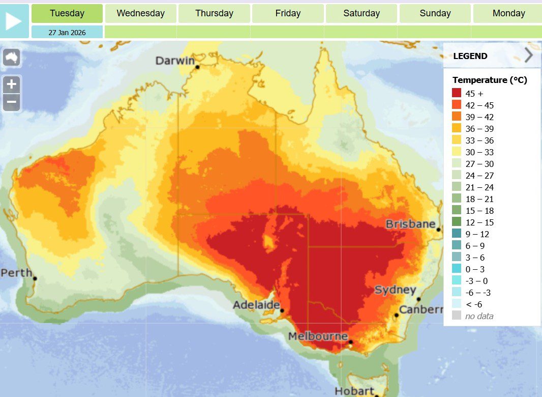 Weekly kill: Blowtorch conditions impact slaughter cattle supply; grids ...
