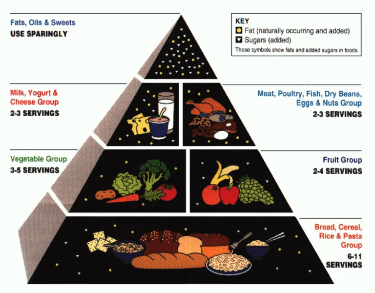 South Park called it: US elevates meat in food pyramid - Sheep Central