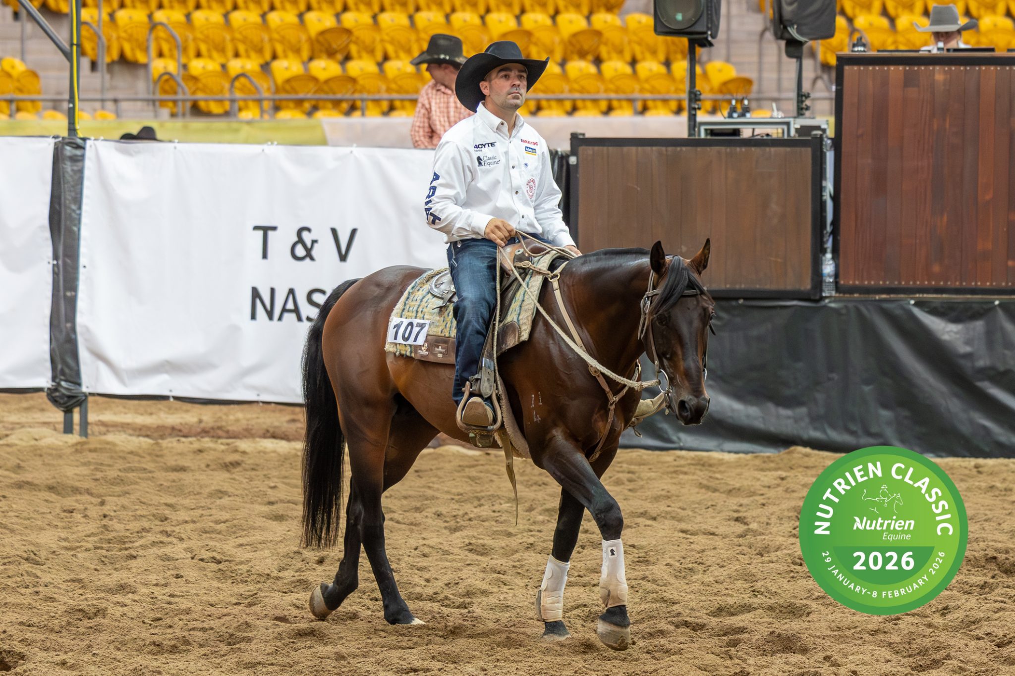 Stock horses top $315,000 in record-setting Tamworth sale - Beef Central