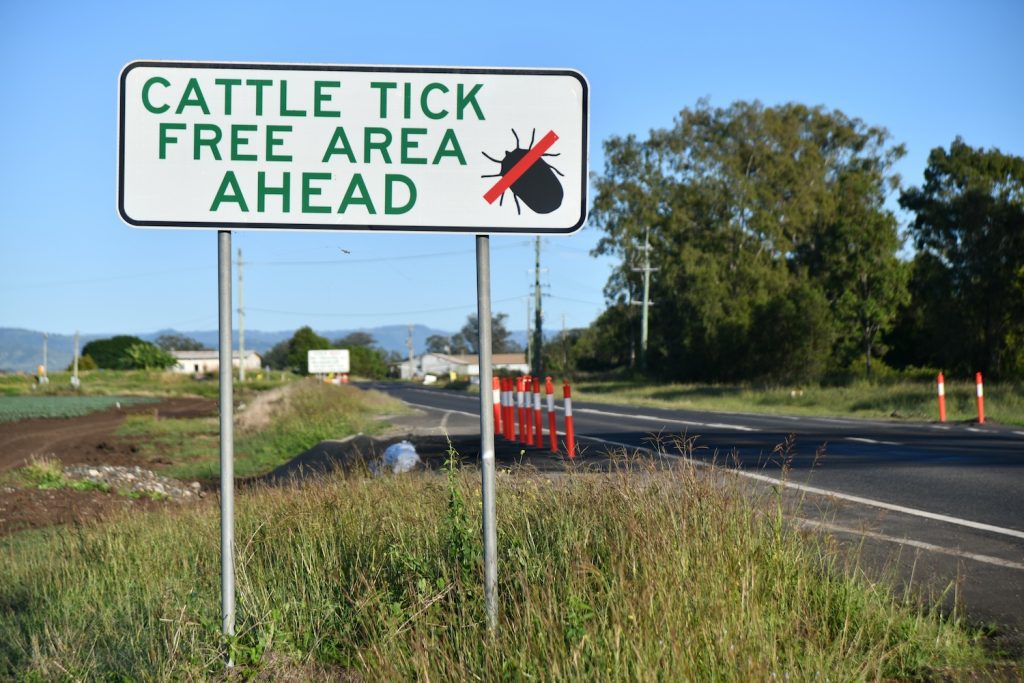 New eradication action plan and $7m boost to rebuild NSW cattle tick ...