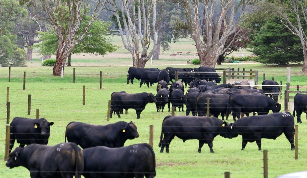 Movement at the station: Recent property listings in NSW, Vic and SA ...