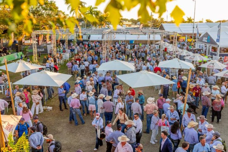 Qld Government commits $4.5m to Beef 2027 event in Rockhampton - Beef ...