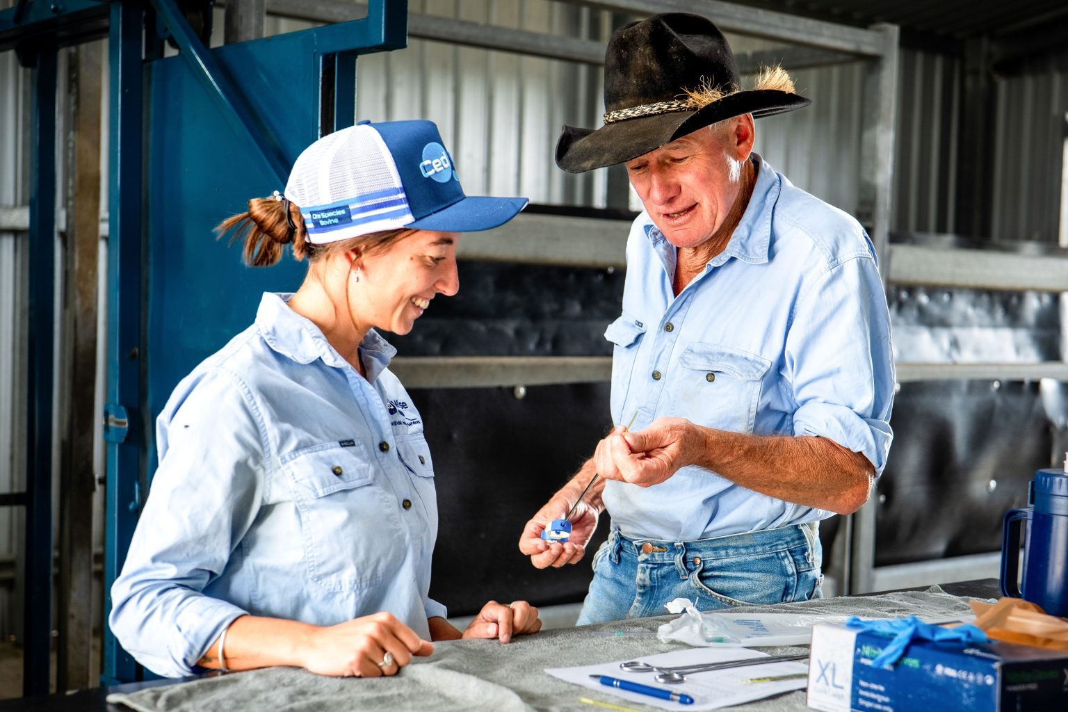 You can't afford to lose a calf you didn't have to lose - Beef Central