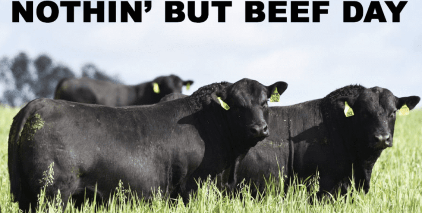 Texas Angus field day to showcase latest beef industry trends and ...